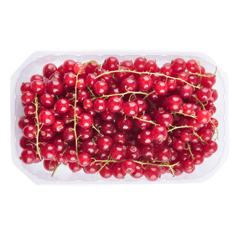 Rode bessen. Nu bij Dirk | Dirk